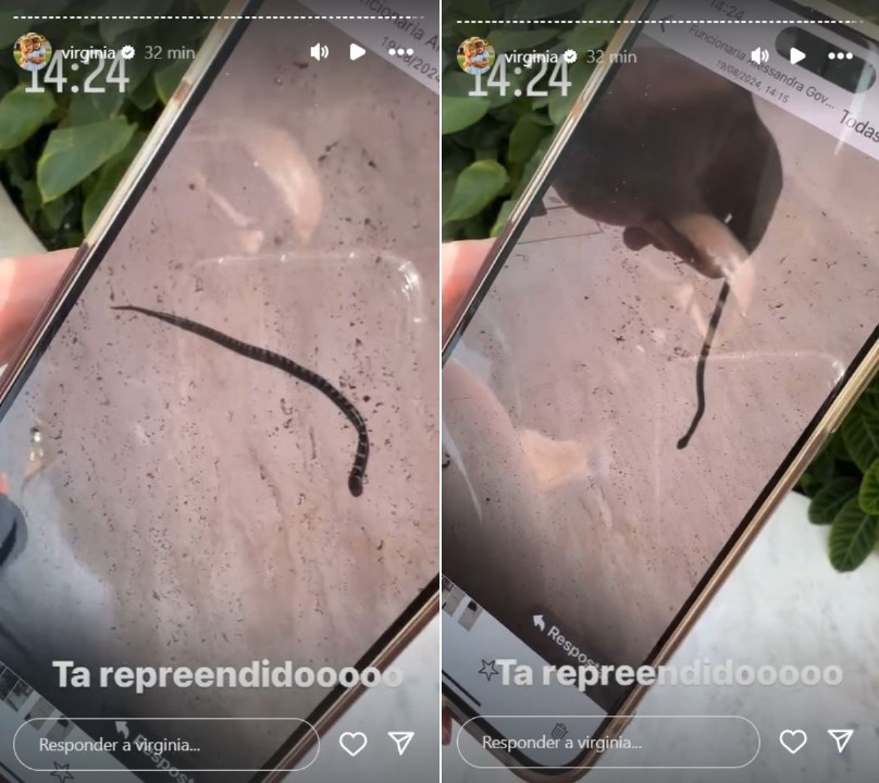 Virginia se assusta com cobra em sua mansão: 'Tá repreendido' - CARAS ...