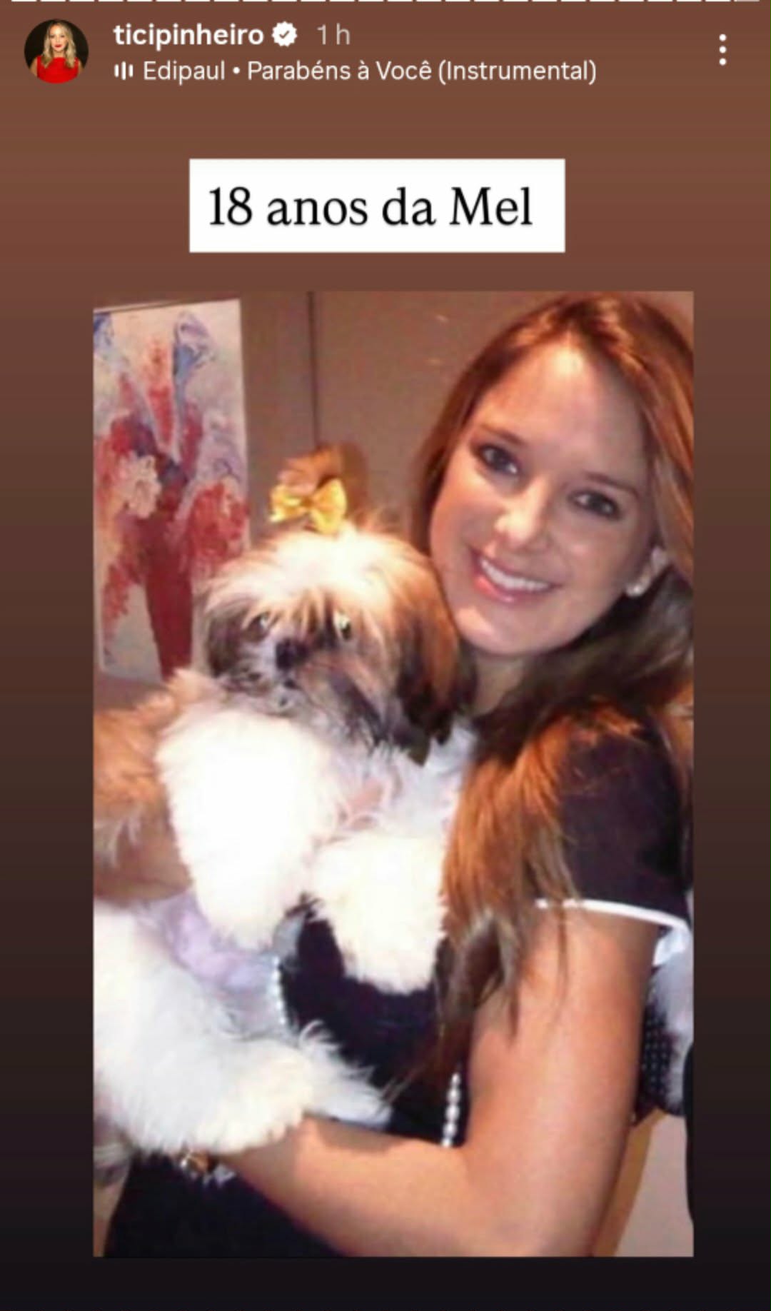 Ticiane Pinheiro comemora 18 anos de sua cachorrinha e comove ...